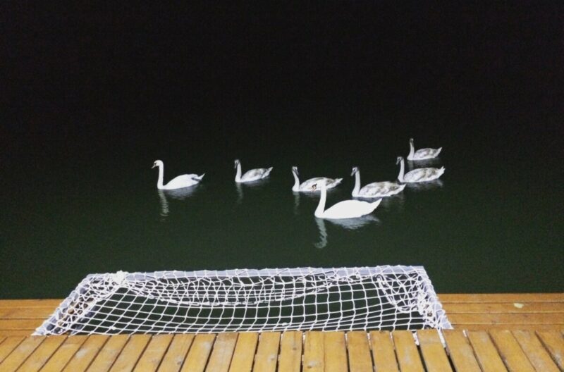 Splav na dan Perla - Proslave do 10 gostiju na reci Savi u mestu Umka