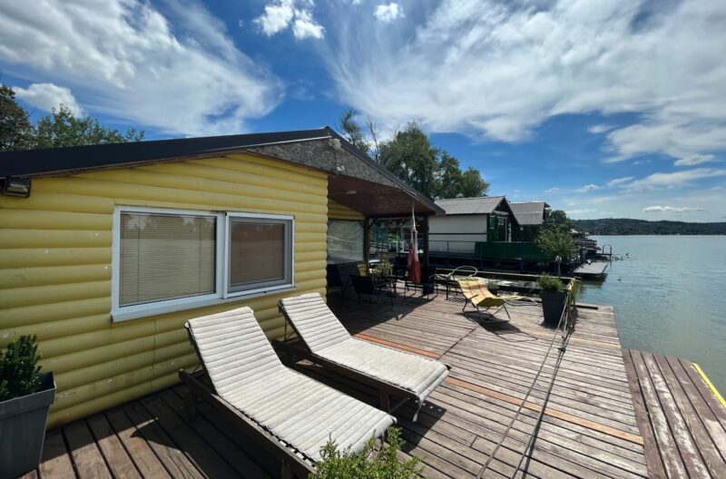 Splav na dan Sava dream - najbolji izbor za proslave na reci Savi!